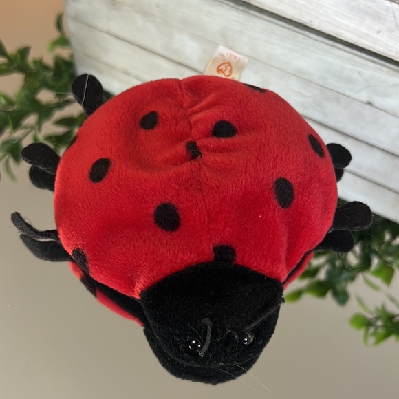 Ty | Toys | Rate Tay Red Ladybug Plush | Poshmark